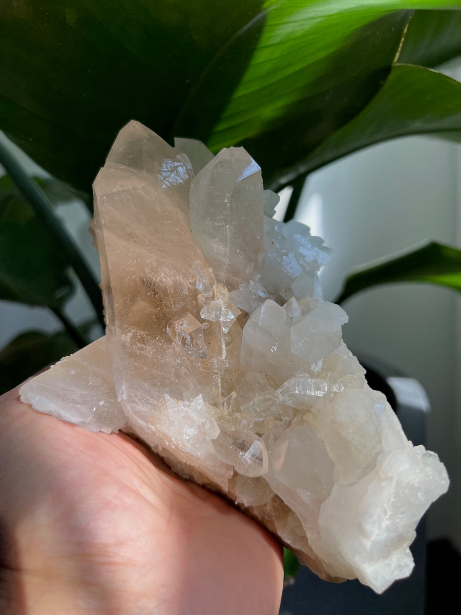 Yellow Himalayan Quartz – Crystals of India