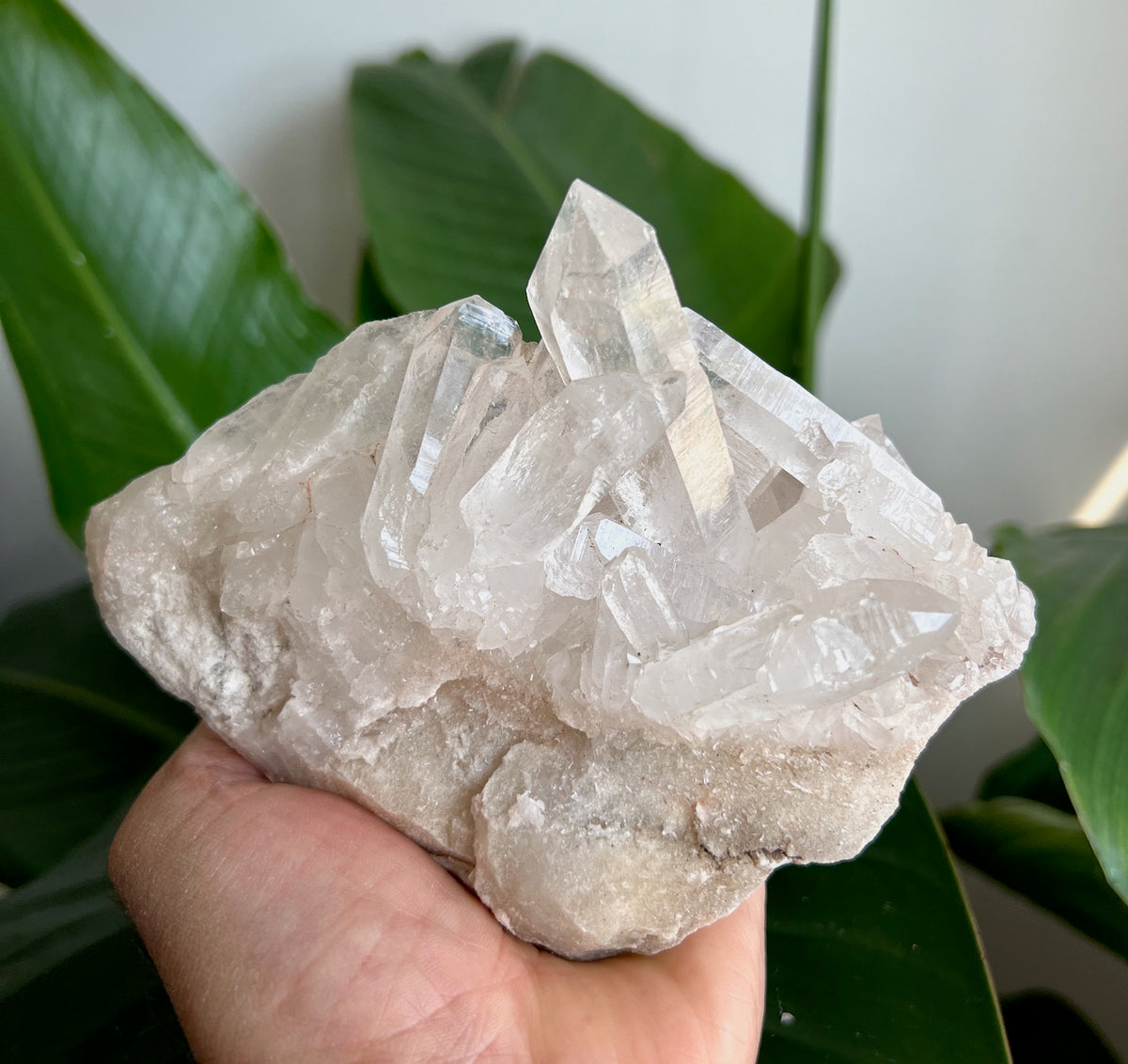 Himalayan Quartz – Crystals of India