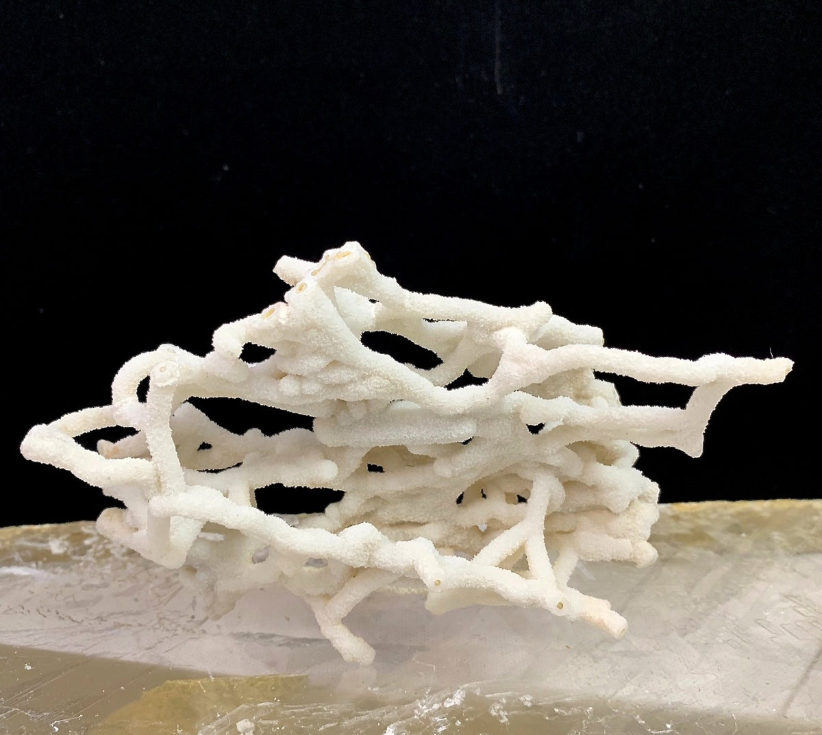 White Chalcedony Coral – Crystals of India